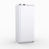 F600V AG Upright Single Door 600L Light-Duty Ventilated Freezer ...